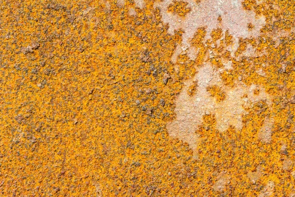 Yellow rust texture Stock Photos, Royalty Free Yellow rust texture ...
