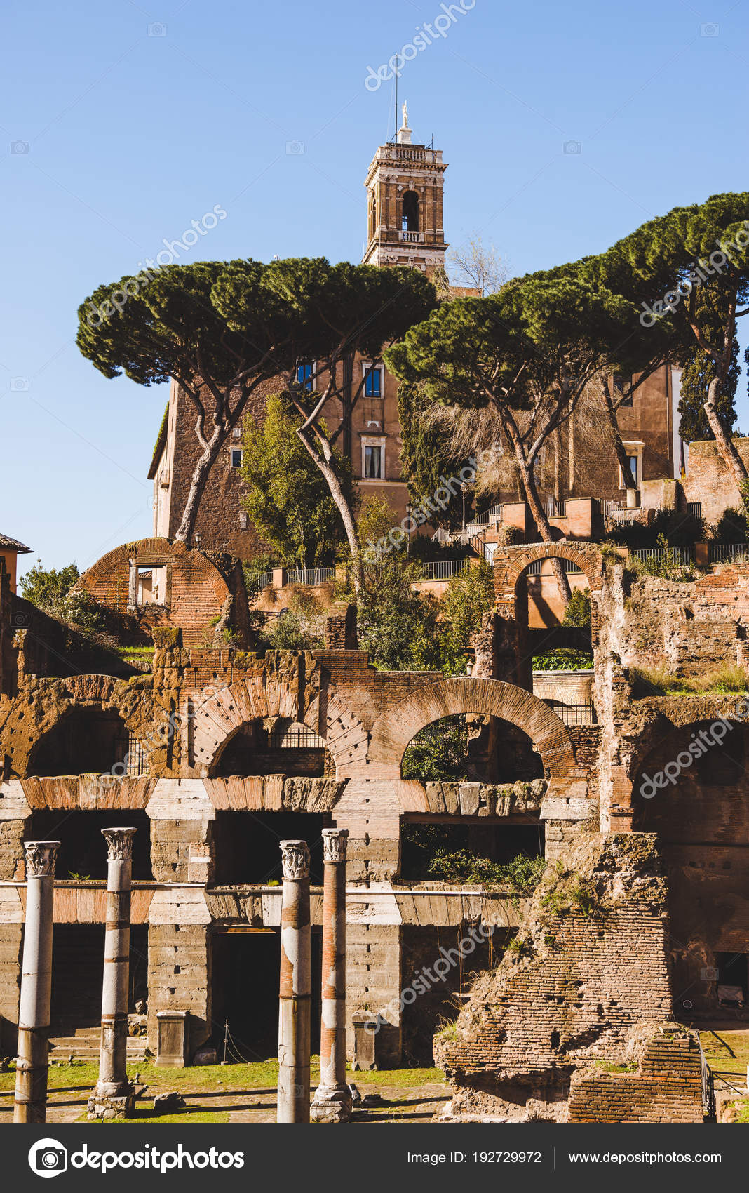 Columns Trees Roman Forum Ruins Rome Italy — Stock Photo © AnnaNepaBO ...