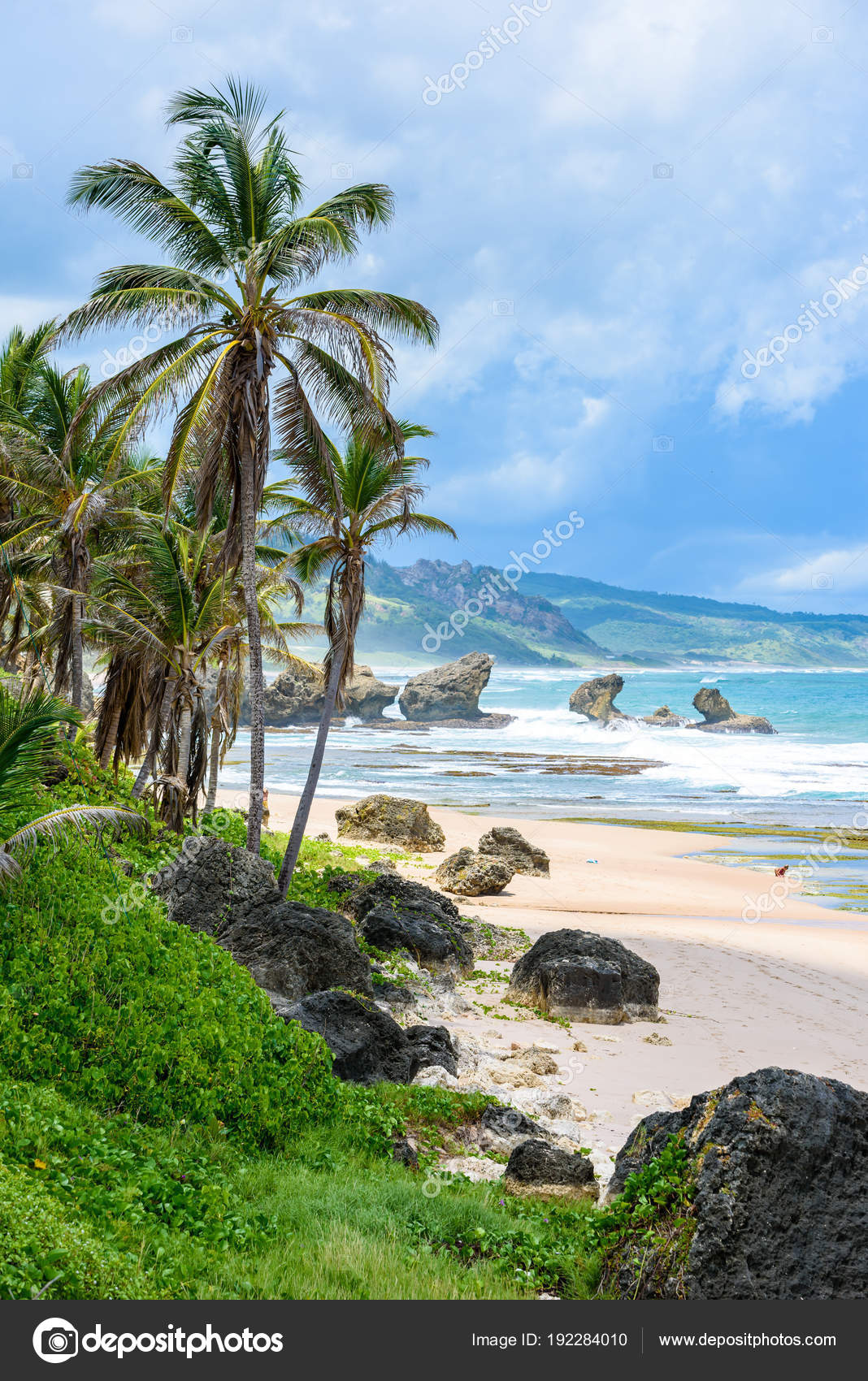 Rich Vegetation Bathsheba Beach East Coast Barbados Island Caribbean ...