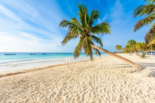 Playa Paraiso Beach Sunrise Tulum Mexico — Stock Photo © SimonDannhauer ...