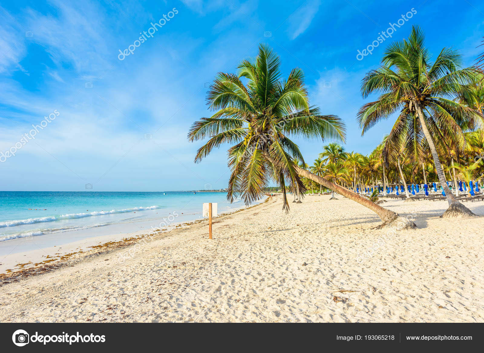 Playa Paraiso Beach Sunrise Tulum Mexico — Stock Photo © SimonDannhauer ...