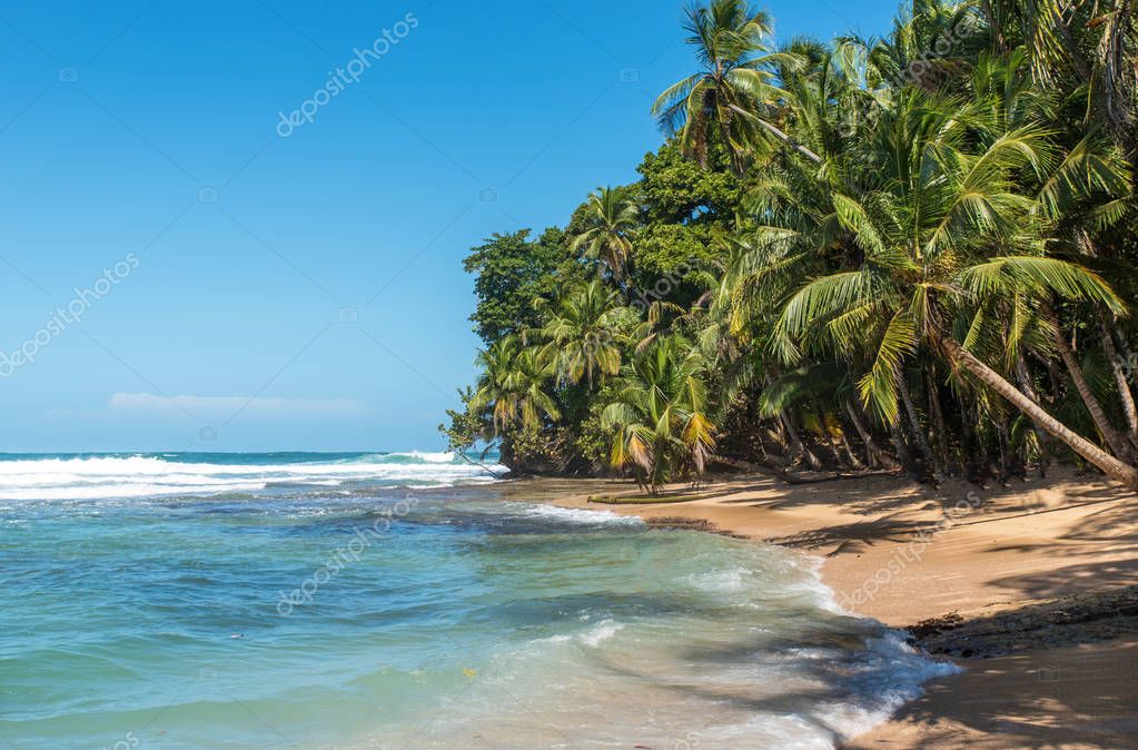 Paraíso playa salvaje del Parque Manzanillo en Costa Rica 2022