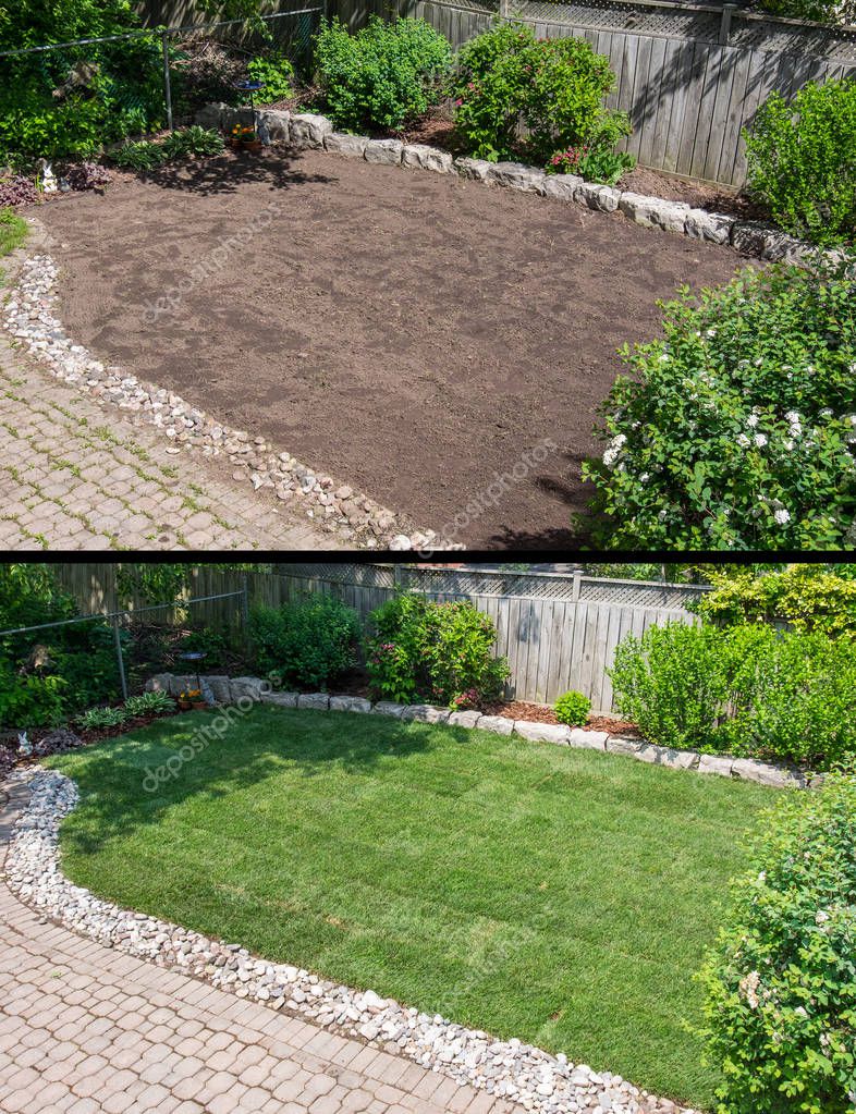 Antes y después de la colocación de nuevo Sod en un jardín del patio ...