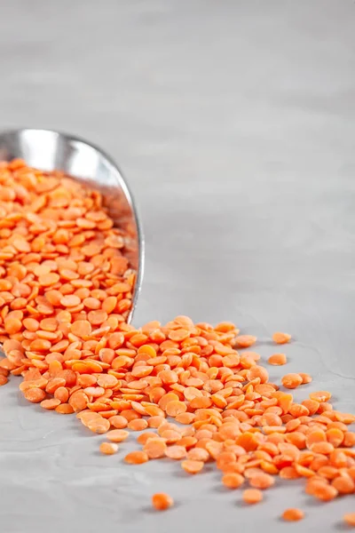 Red Lentils Rich Source Fiber Protein Healthy Food Concept Vegan ⬇ ...