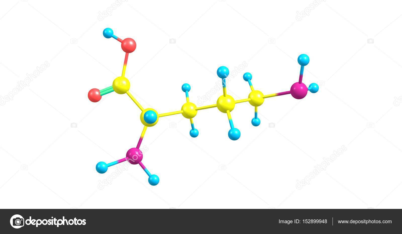 Ornithine molecular structure isolated on white — Stock Photo © olla ...
