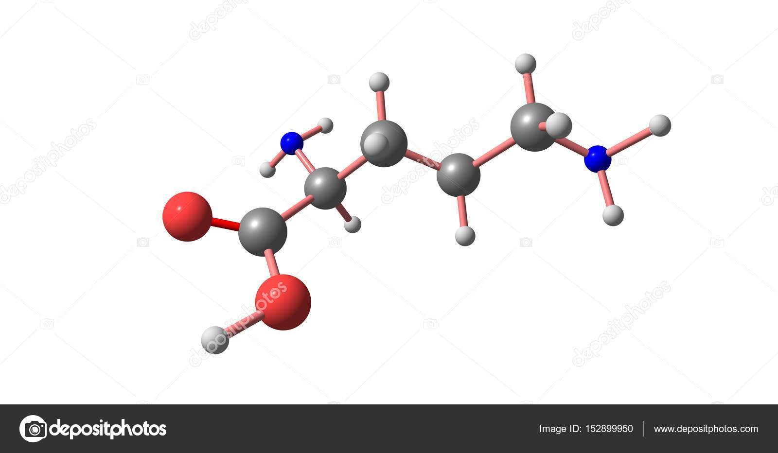 Ornithine molecular structure isolated on white — Stock Photo © olla ...