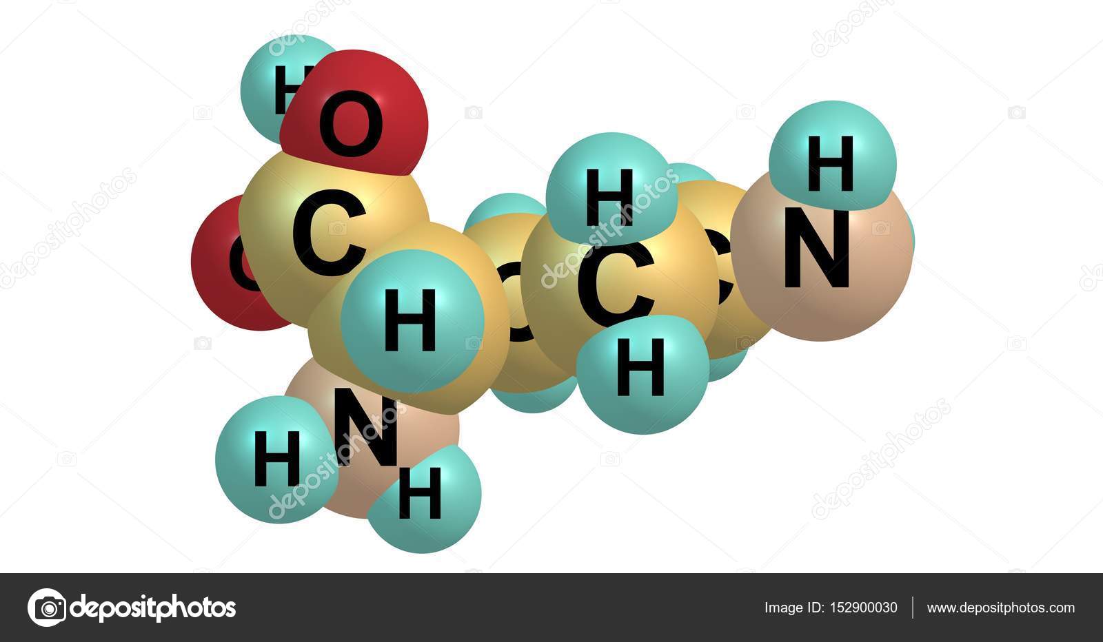 Ornithine molecular structure isolated on white — Stock Photo © olla ...