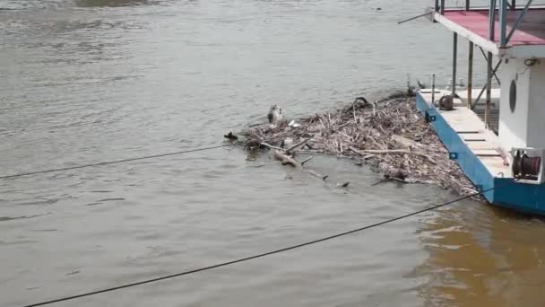 489 Serviço de esgoto Videos, Royalty-free Stock Serviço de esgoto ...