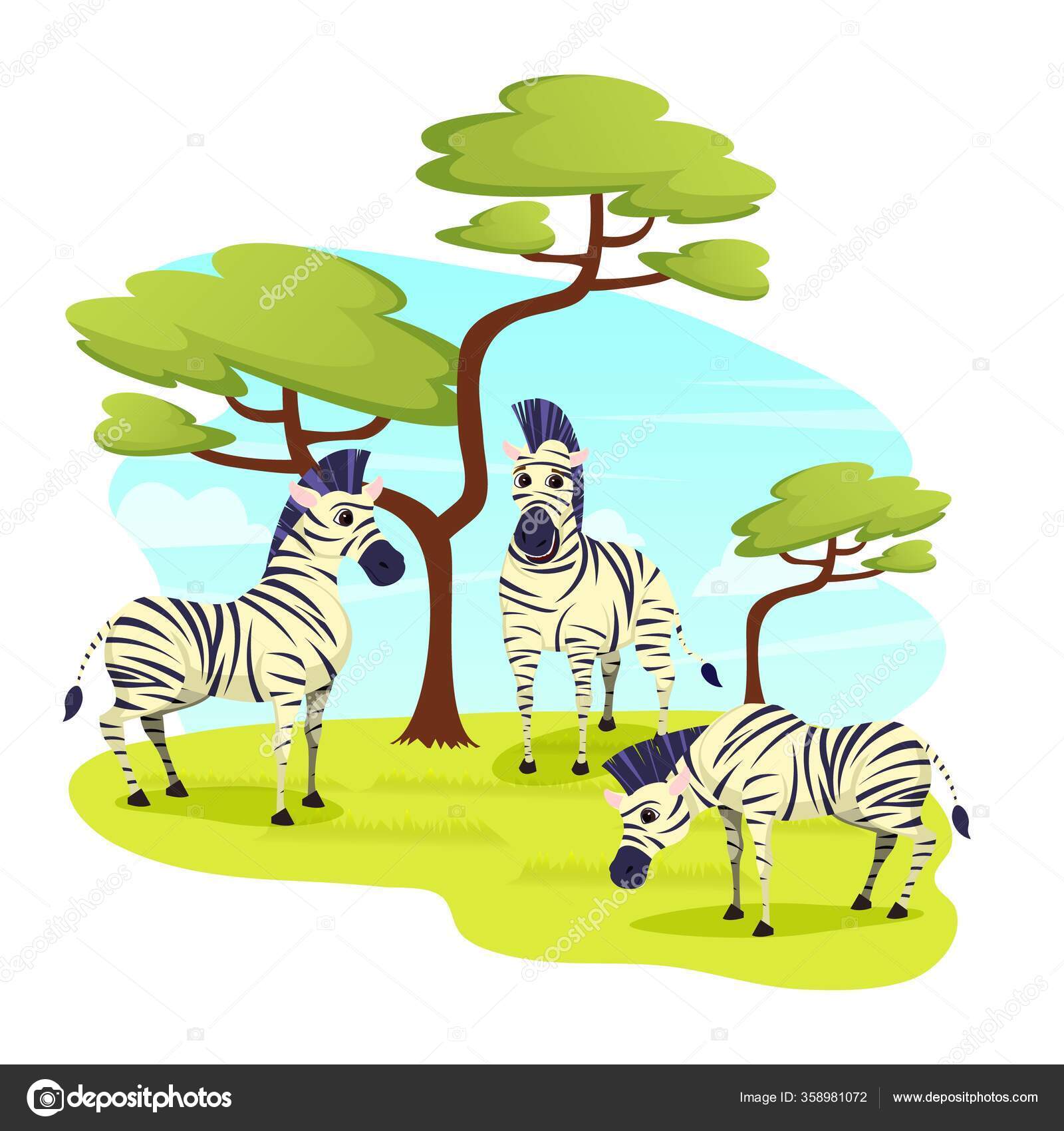 Manada de manadas de cebras silvestres africanas en praderas Stock ...