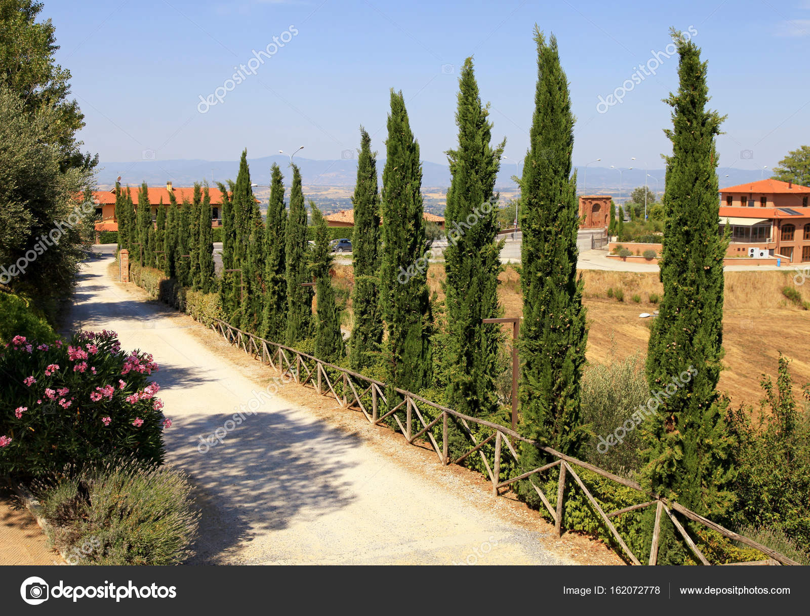 Cypress trees rows and a country road, Tuscany, Italy. – Stock ...