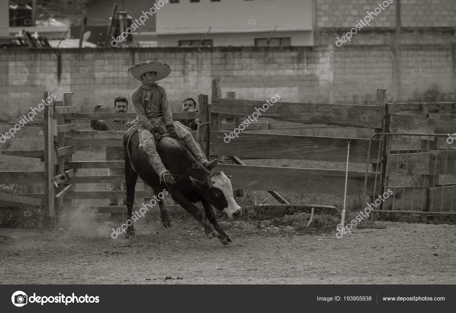 Charro rides bucking bull in rodeo — Stock Editorial Photo ...
