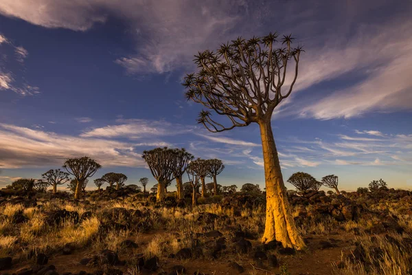 Fantasy land Stock Photos, Royalty Free Fantasy land Images | Depositphotos