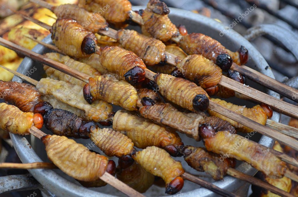 Suri: una larva amazónica que se alimenta de savia de palma, asada y ...