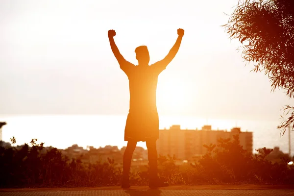 Back of man standing by sunset with arms raised up - Stock Image ...