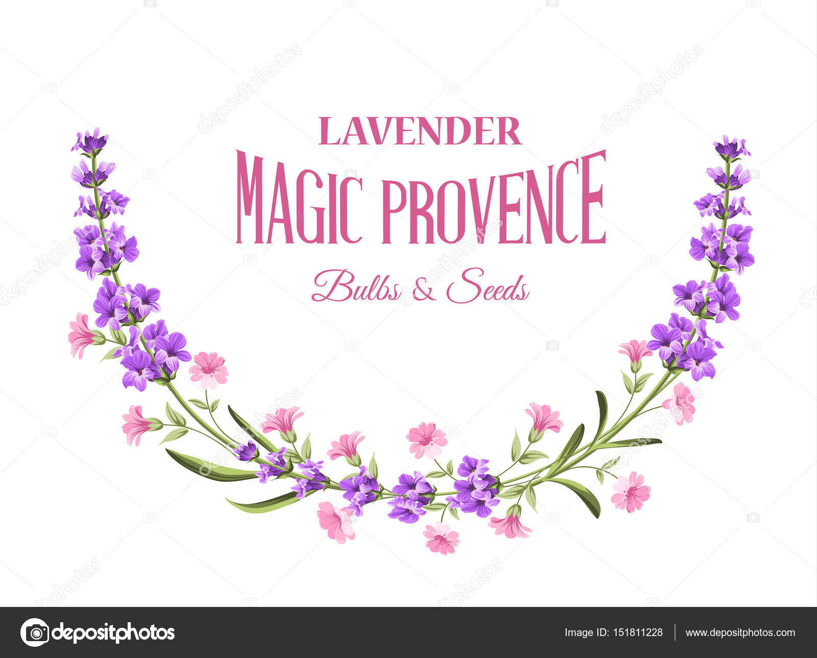 Label with lavender. Stock Vector Image by ©Kotkoa #151811228