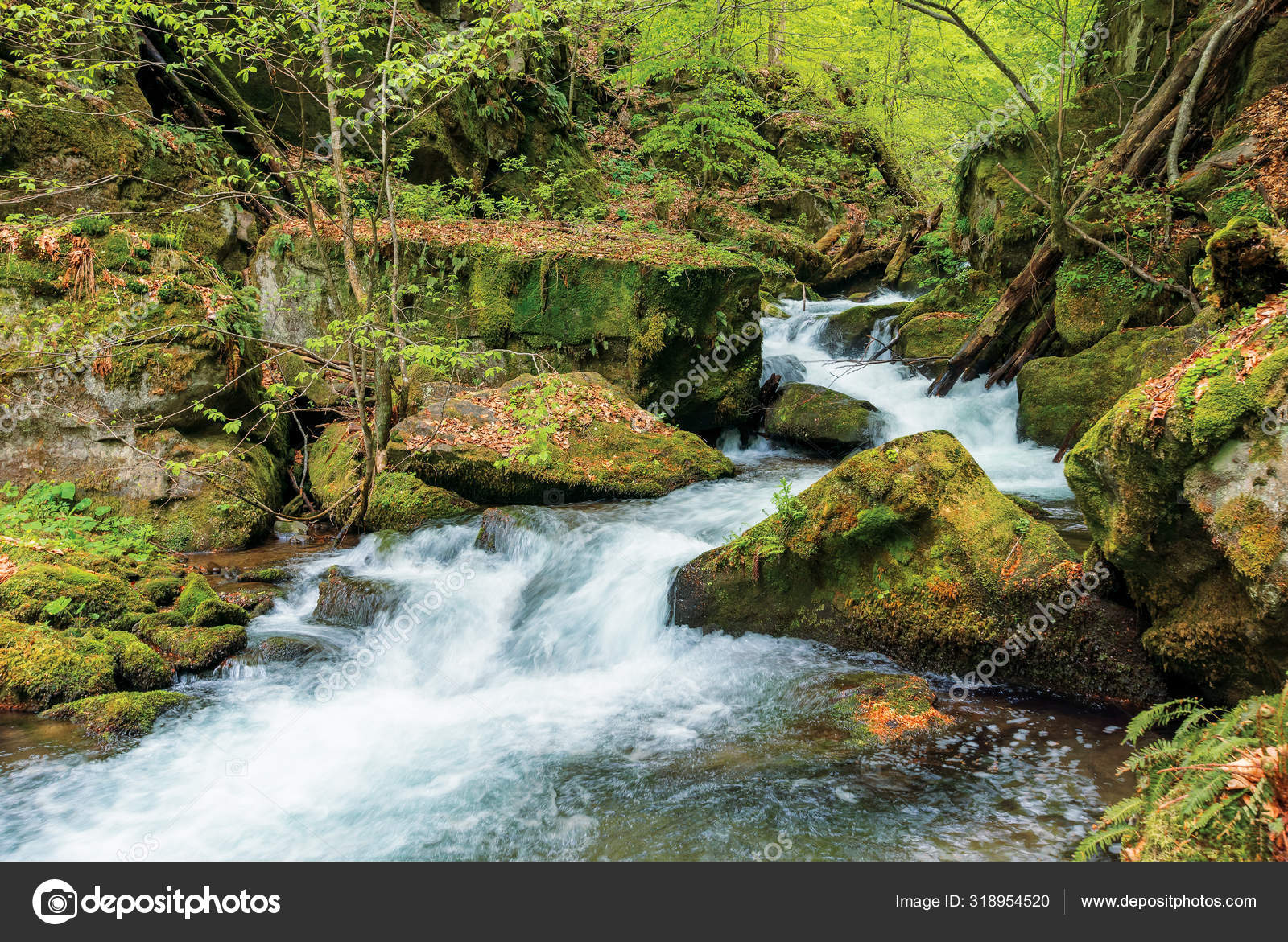 Rapid stream among the rocks in the forest Stock Photo by ©pellinni ...