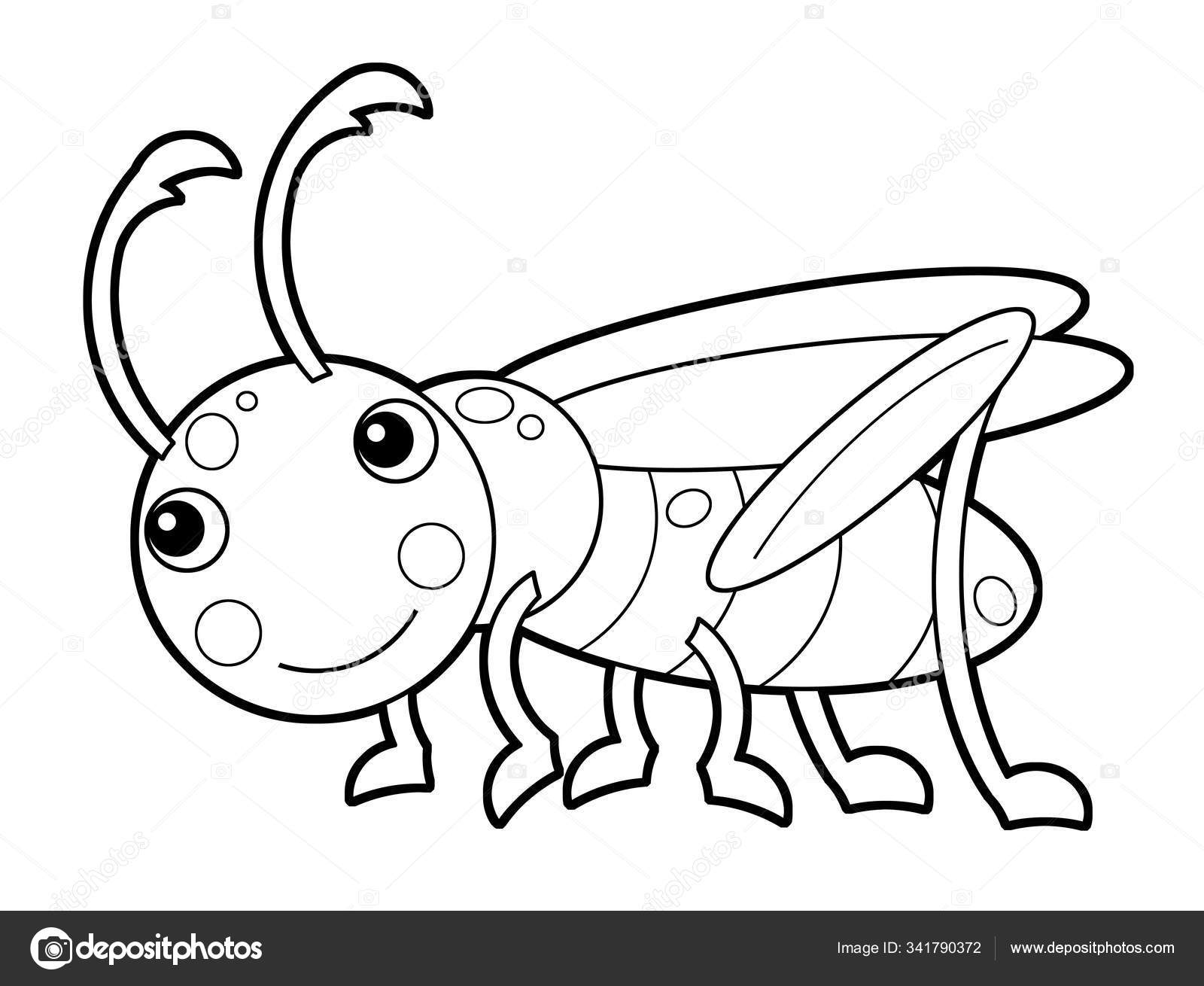 Grasshopper Clipart Black And White