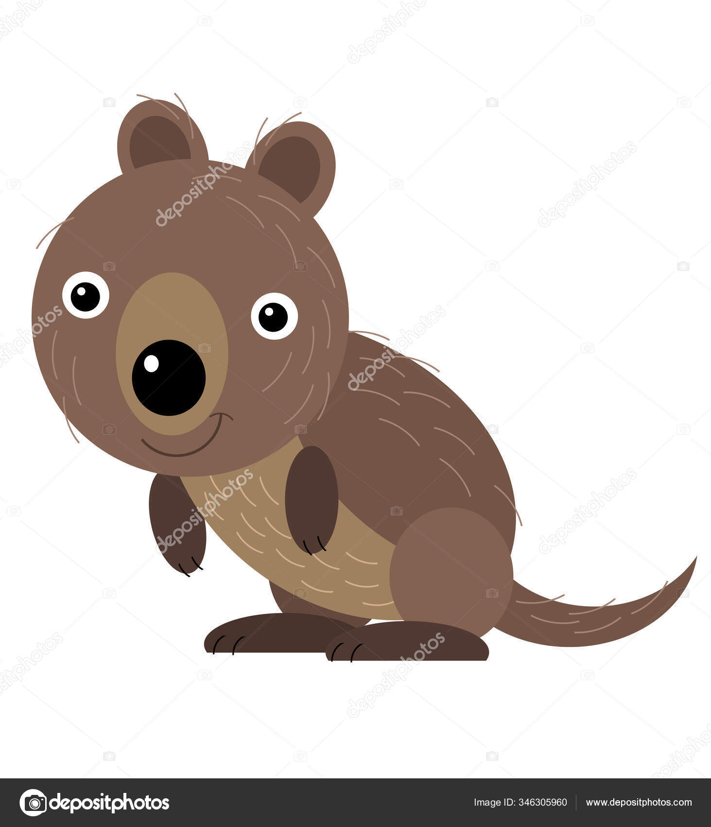 Cartoon Australian Scene Happy Funny Kuok White Background Illustration ...