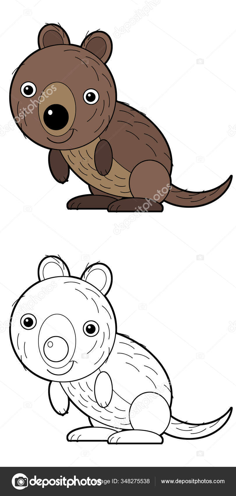 Cartoon Sketch Australian Scene Happy Funny Kuok White Background ...