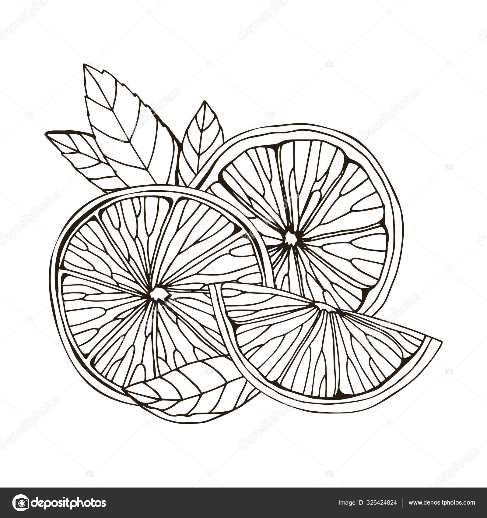 Zitrone Schwarz Und Weiß Zitrone Mit Blättern Und Blüten EPS