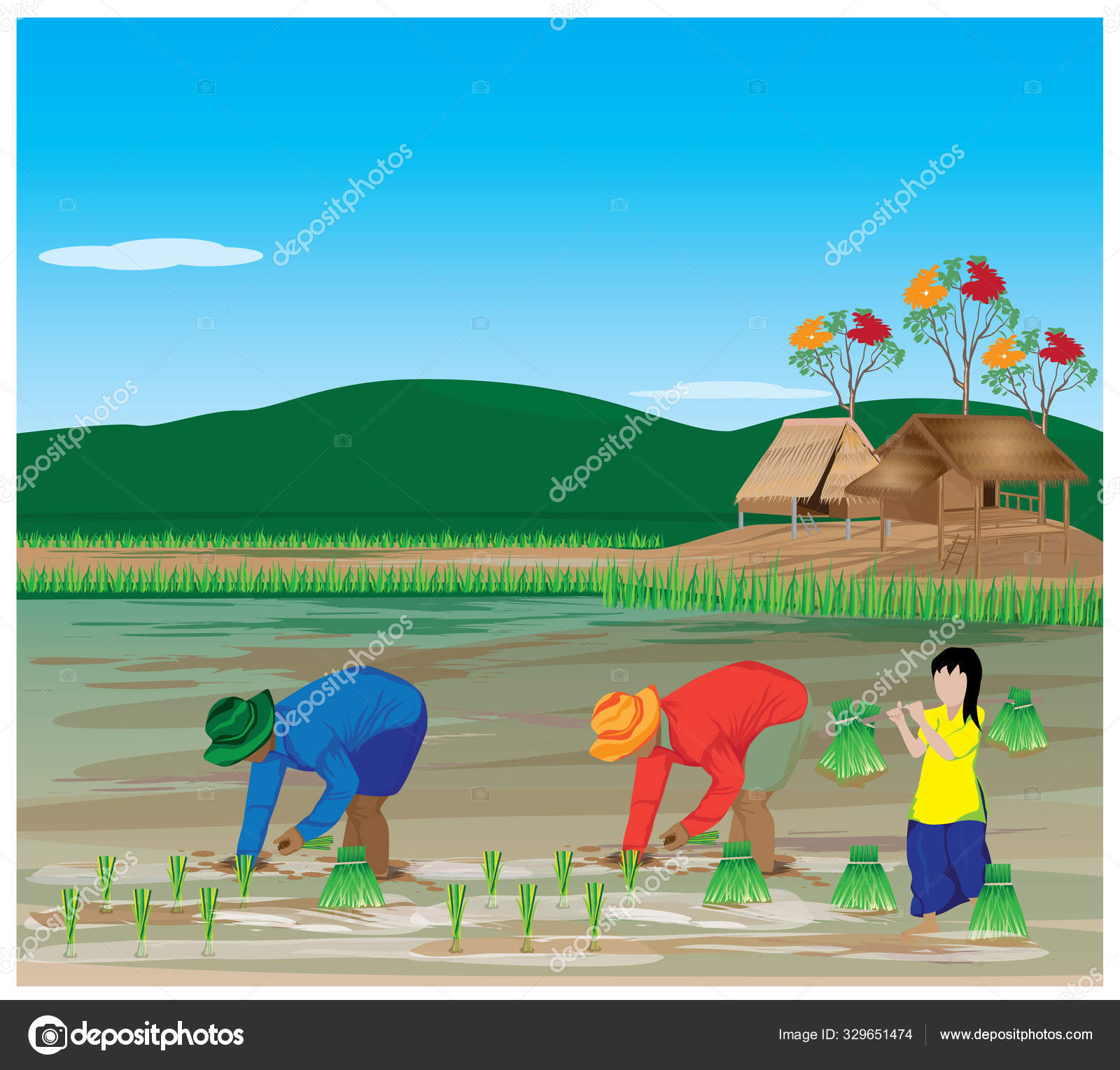 Farmers Cultivating Rice Village Stock Vector by ©phoopanotpics 329651474