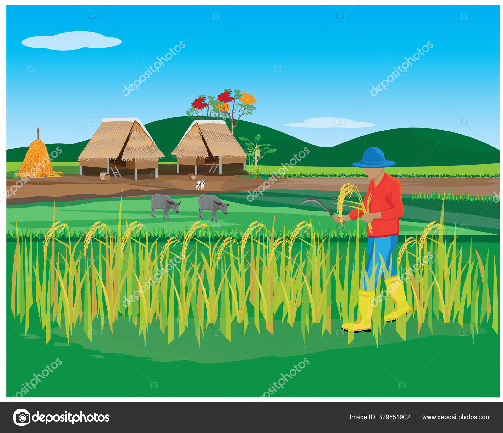 Rice Farmer Clipart