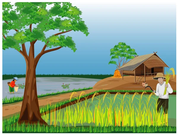 Rice Farmer Clipart