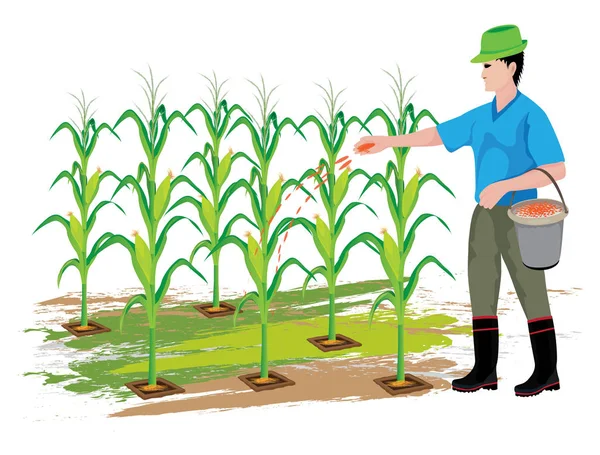 Manure Vector Art Stock Images | Depositphotos