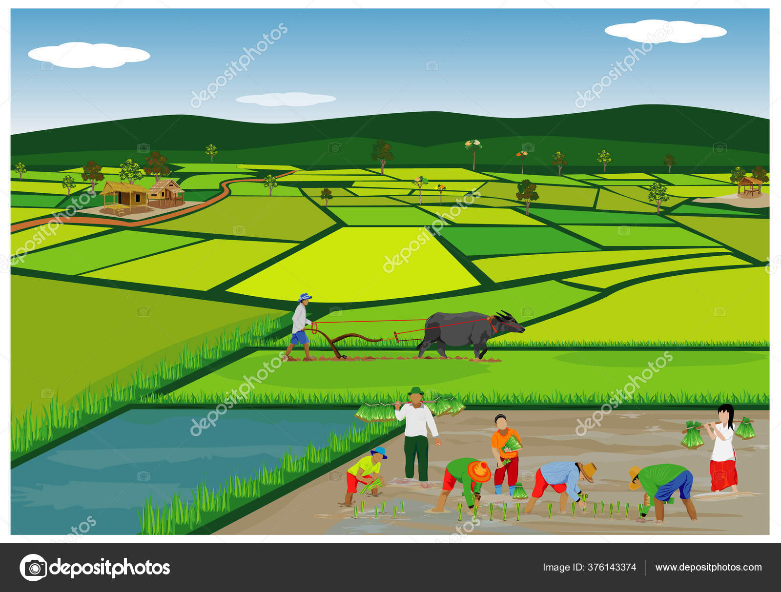 Farmer Work Paddy Field Vector Design Stock Vector by ©phoopanotpics ...