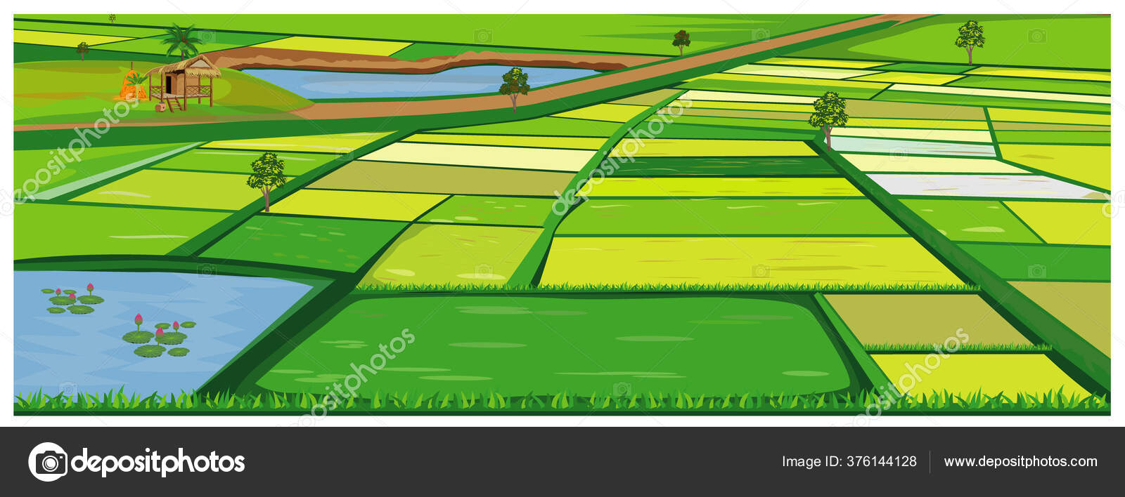 Large Paddy Field Vector Design Stock Vector by ©phoopanotpics 376144128
