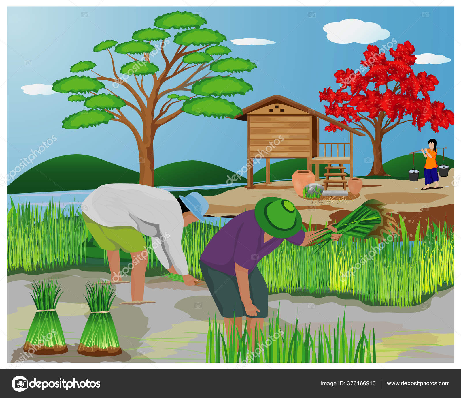 Petani Bekerja Dalam Desain Vektor Lahan Padi Vektor Stok oleh ...