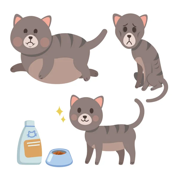Thin Cat Clipart Image
