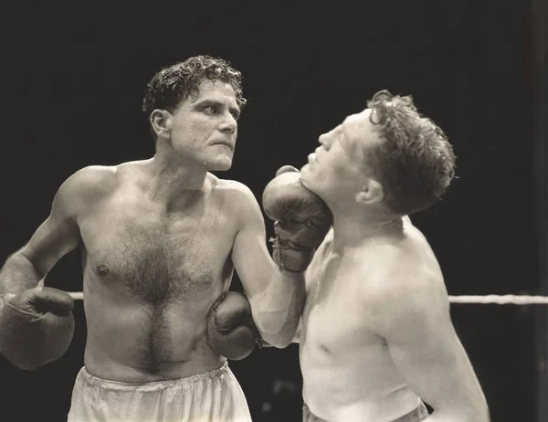 Boxer Stock Photos, Royalty Free Boxer Images | Depositphotos