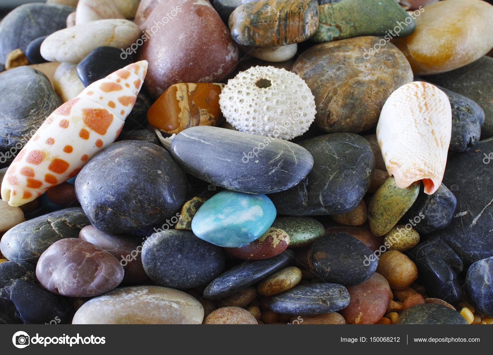 Rocks and shells Stock Photo by ©johnanderson 150068212