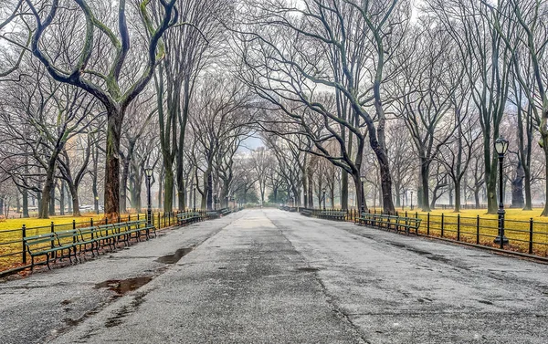 Central Park, New York City after rain storm — Stock Photo ...