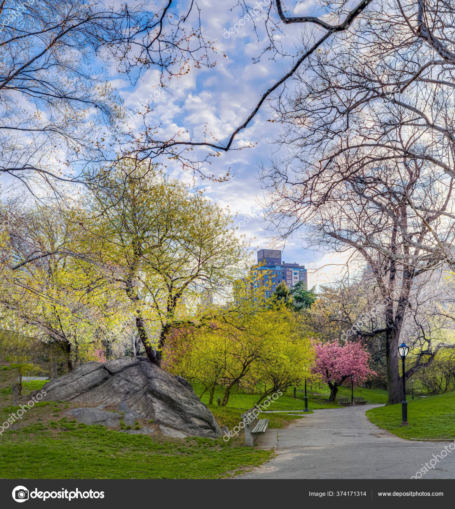 Spring Central Park New York City Cherry Trees Bloom — Stock Photo ...