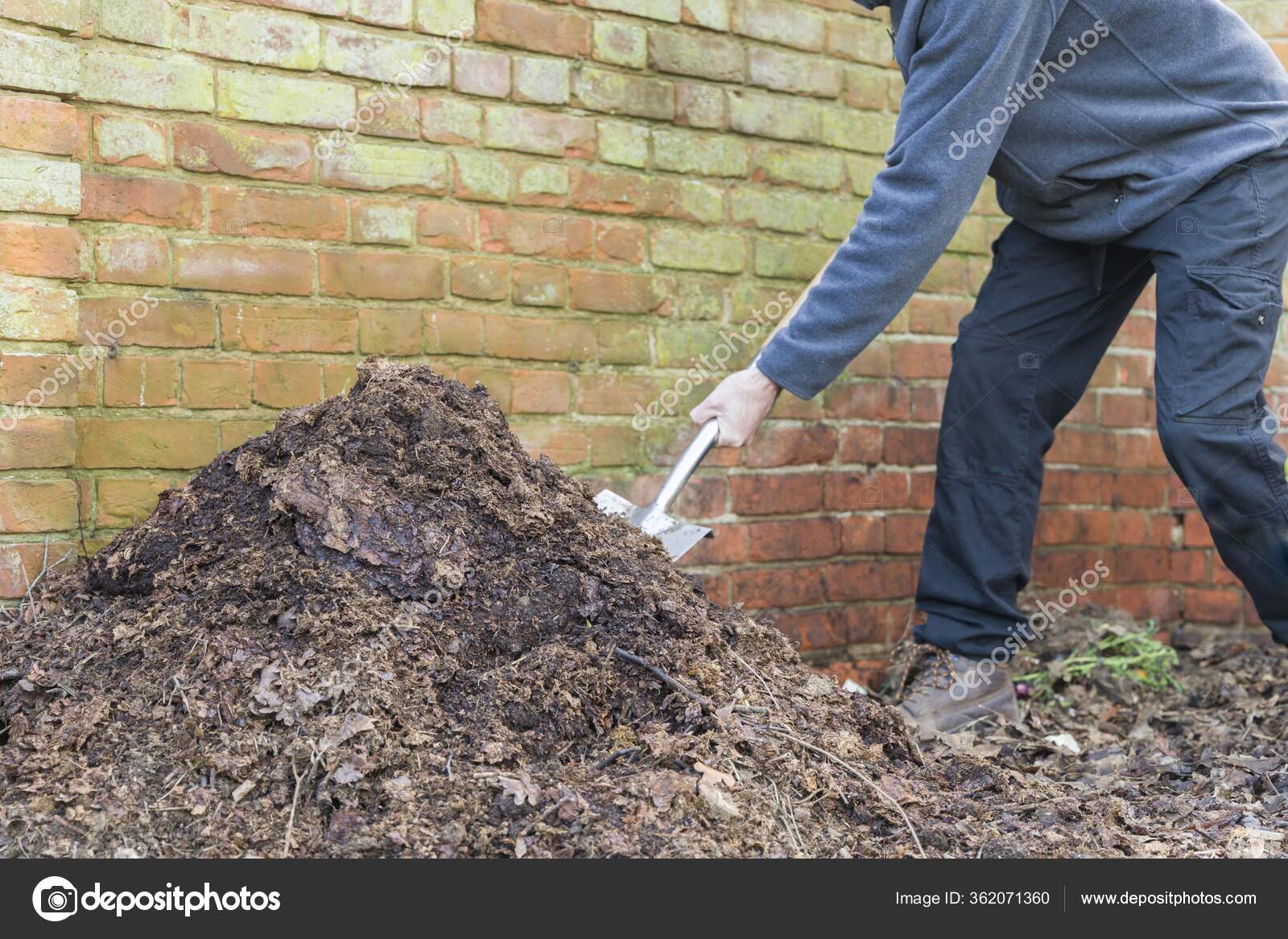 Compostaje Hombre Convirtiendo Montón Compost Jardín Reino Unido ...