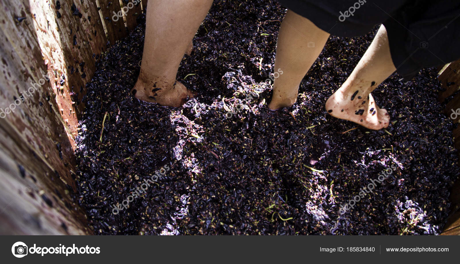 Stepping on grape Stock Photo by ©celiafoto 185834840