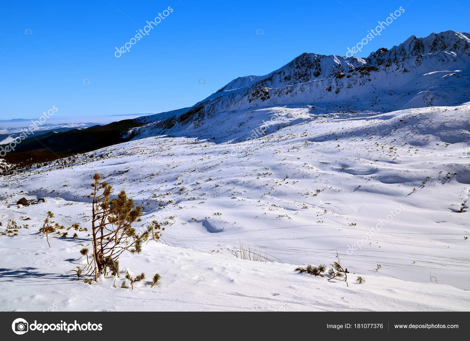 Ski Slope High Tatra Mountains Kasprowy Wierch Winter Season Poland ...