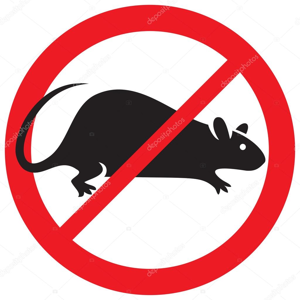 Rat Signs