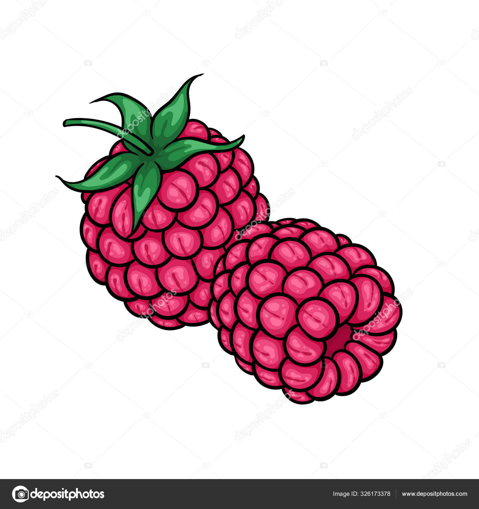 Cartoon Raspberry