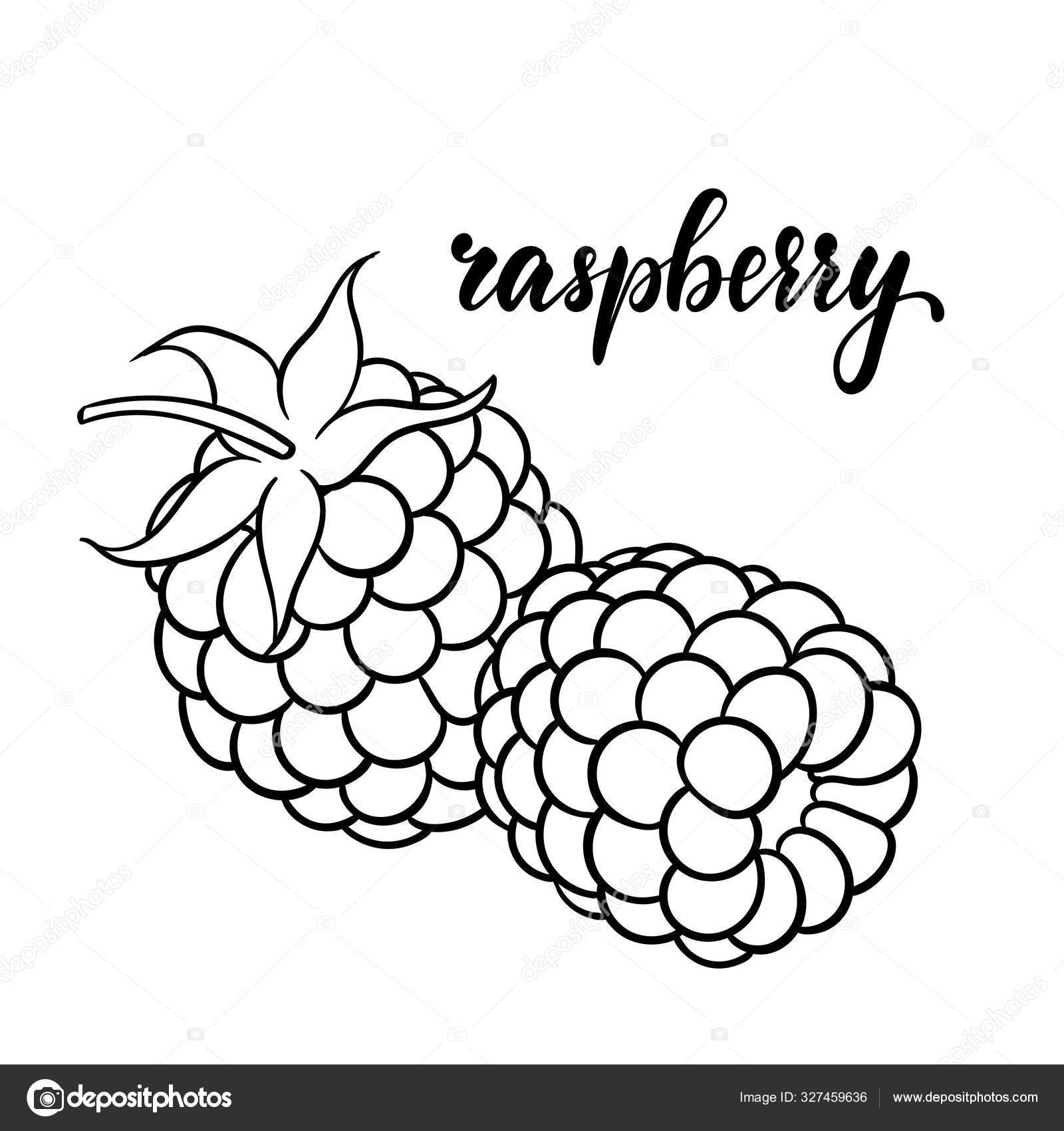 Raspberry Silhouette