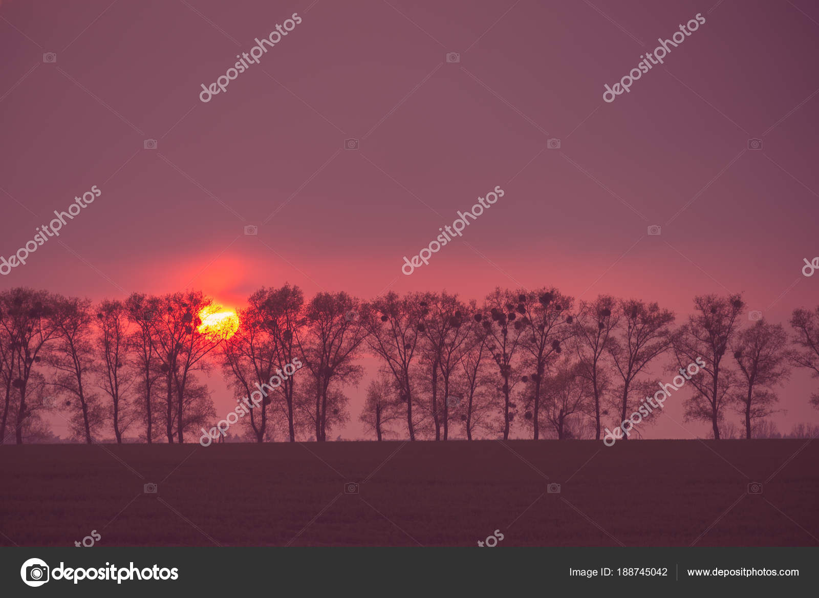 Sun during sunset behind trees Stock Photo by ©Voyagerix 188745042