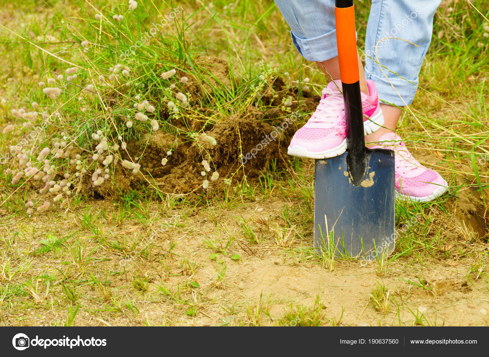 Woman digging soil with shovel Stock Photo by ©Voyagerix 190637560