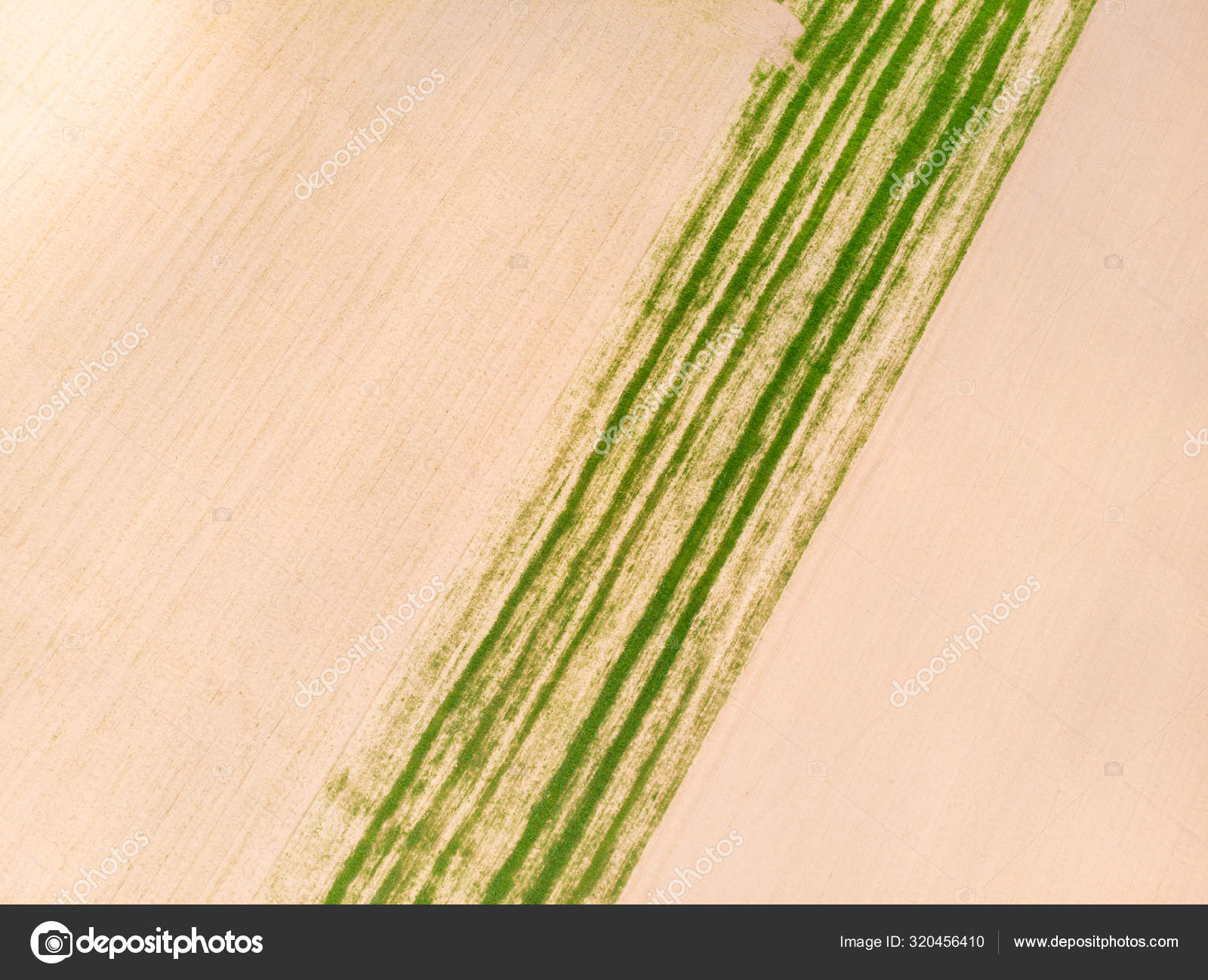 Top down view. Crop agricultural fields. Stock Photo by ©Voyagerix ...