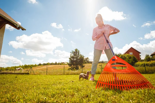 Unusual angle of woman raking leaves using rake. Person taking care of ...