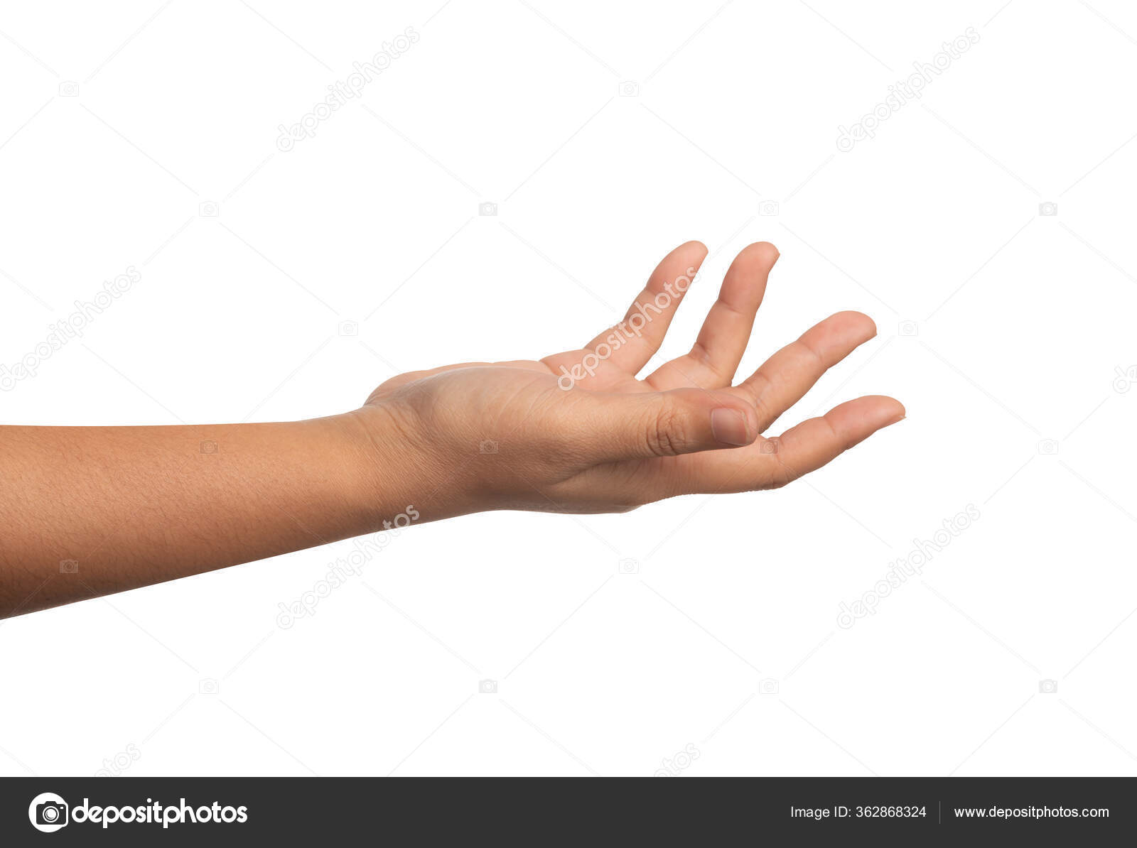 Close Open Palm Hand Isolated White Background Right Hand Woman Stock ...