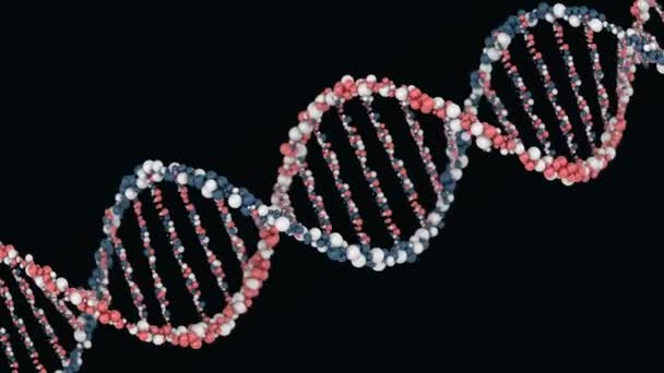 Animated DNA model from balls. 3D rendering — Stock Video © polesnoy ...