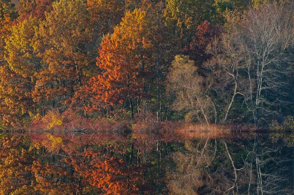 Autumn landscape with mirrored reflections in calm water, Jackson Hole ...