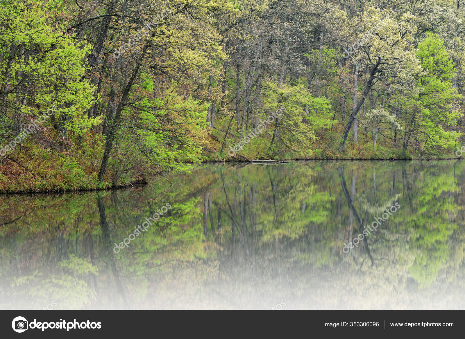 Foggy Spring Landscape Eagle Lake Fort Custer State Park Michigan ...